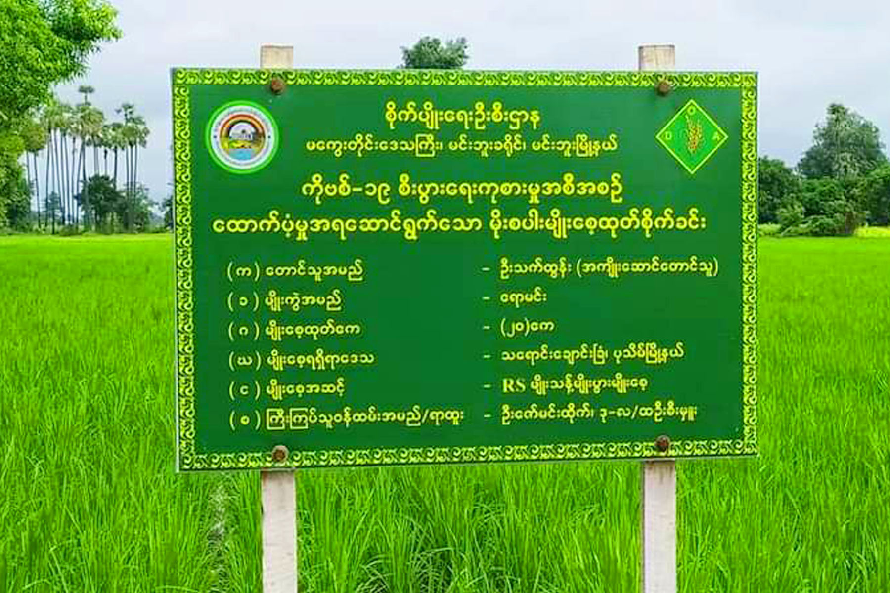 မင်းဘူး စကု မြို့နယ်၌ ကိုဗစ် ၁၉ စီးပွားရေးကုစားမှု အစီအစဉ်ဖြင့် ဆောင်ရ